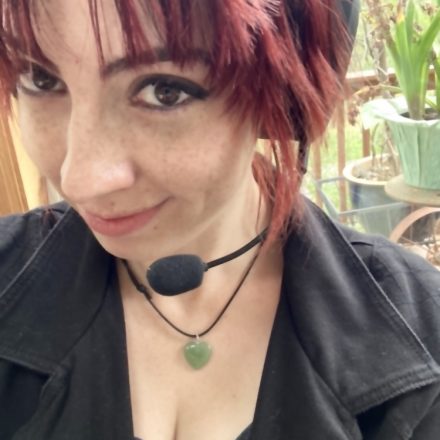 8 Questions Newbies Have About Starting in Foreclosure Auctions ...